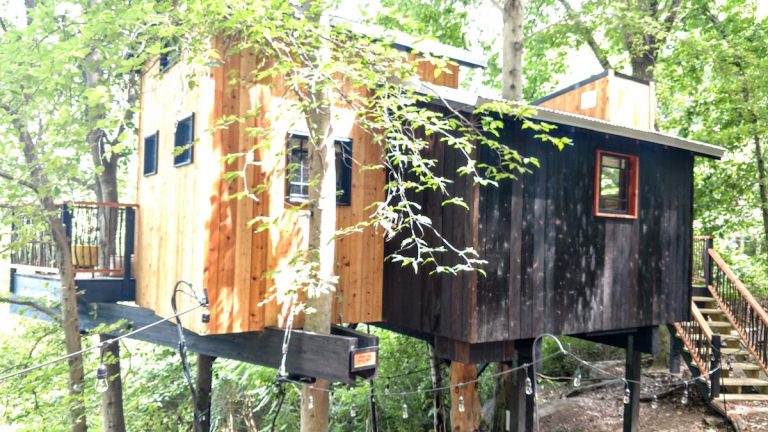 Into the Woods: Joy of Sleeping in a Treehouse Hideaway