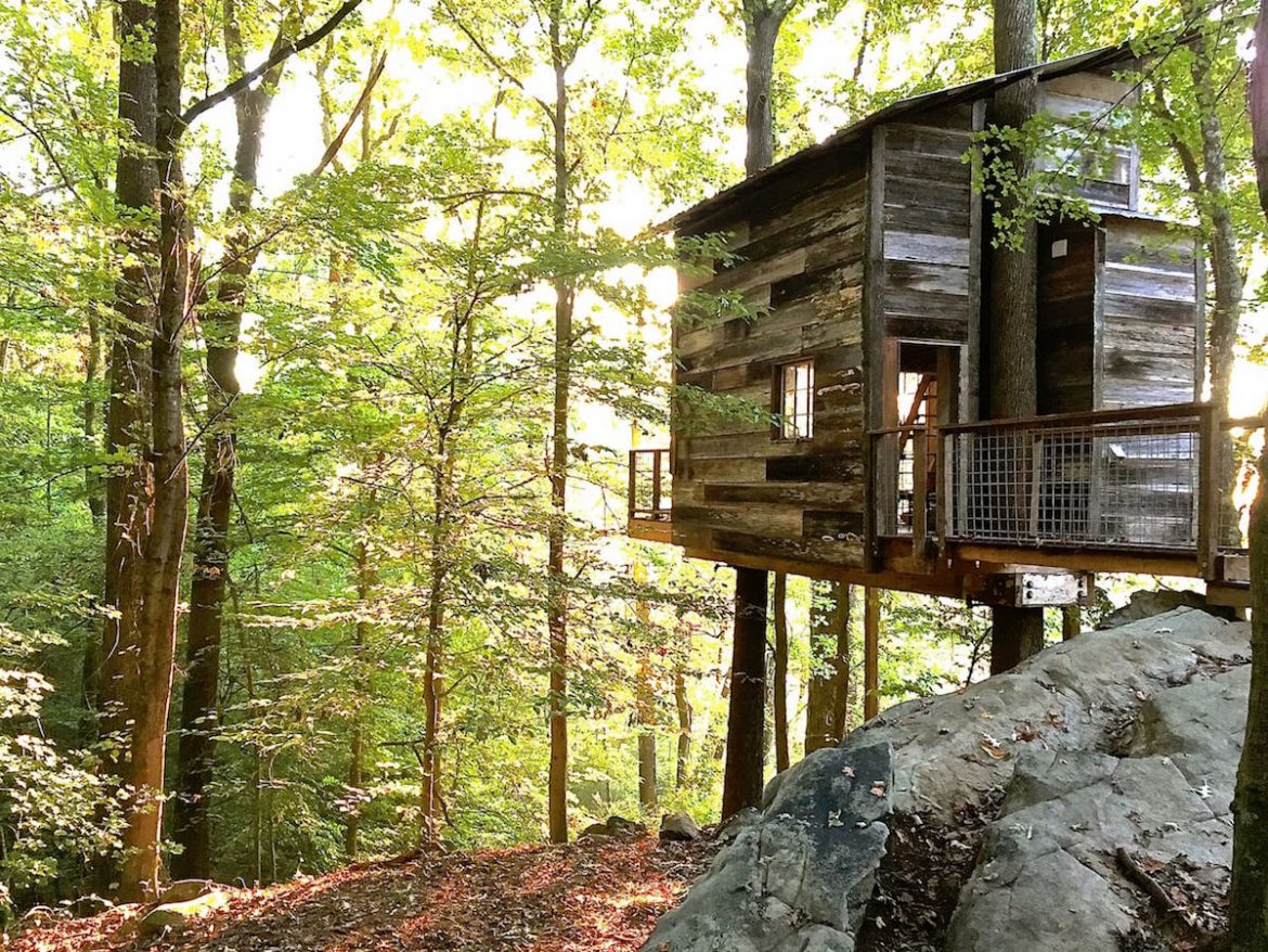 Into the Woods: Joy of Sleeping in a Treehouse Hideaway